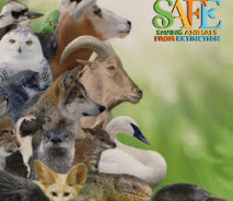 Lehigh Valley Zoo - Smart Fun