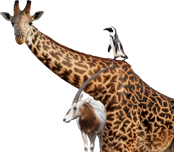 Lehigh Valley Zoo - Smart Fun