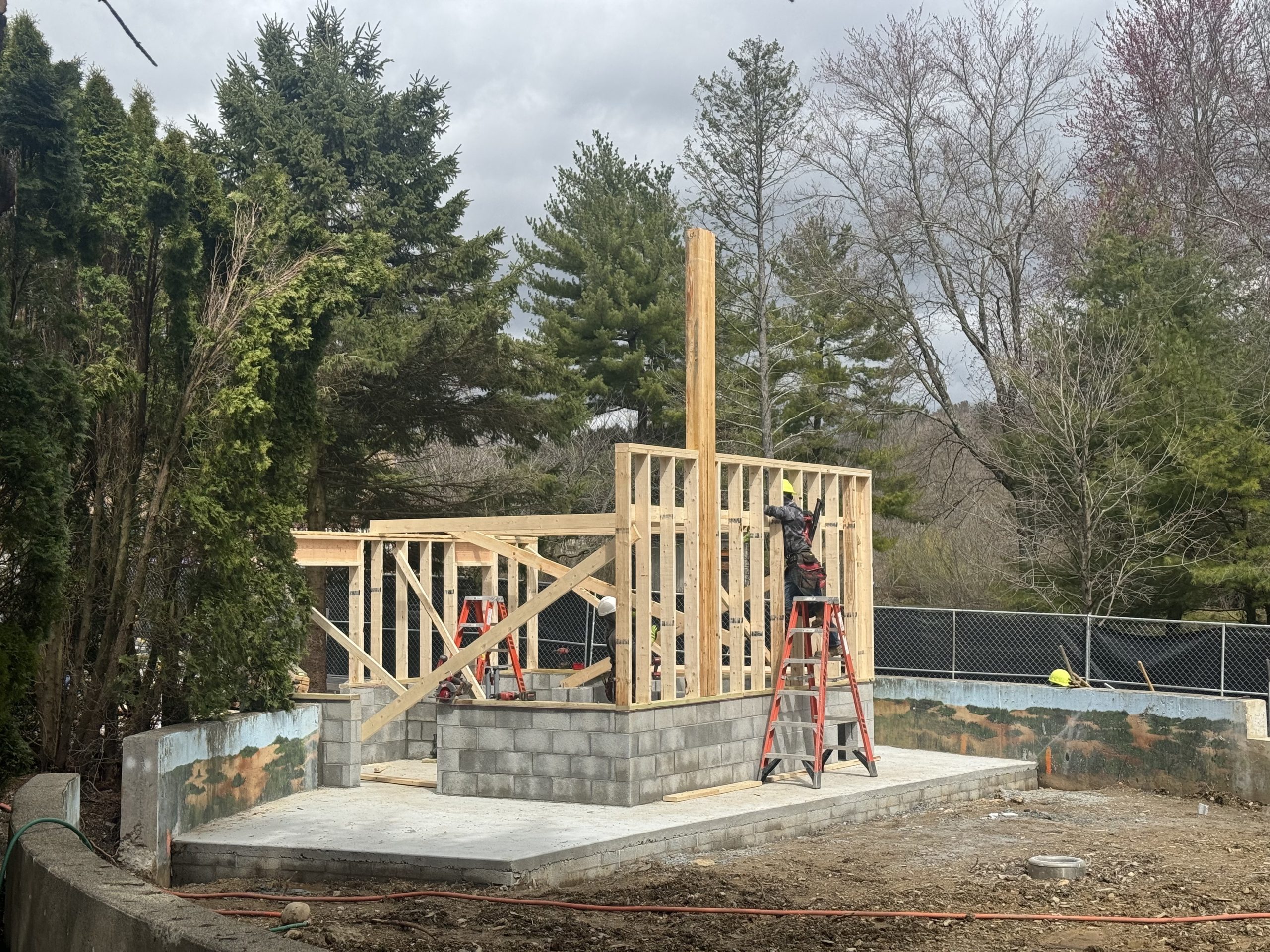 Red Panda - Lehigh Valley Zoo