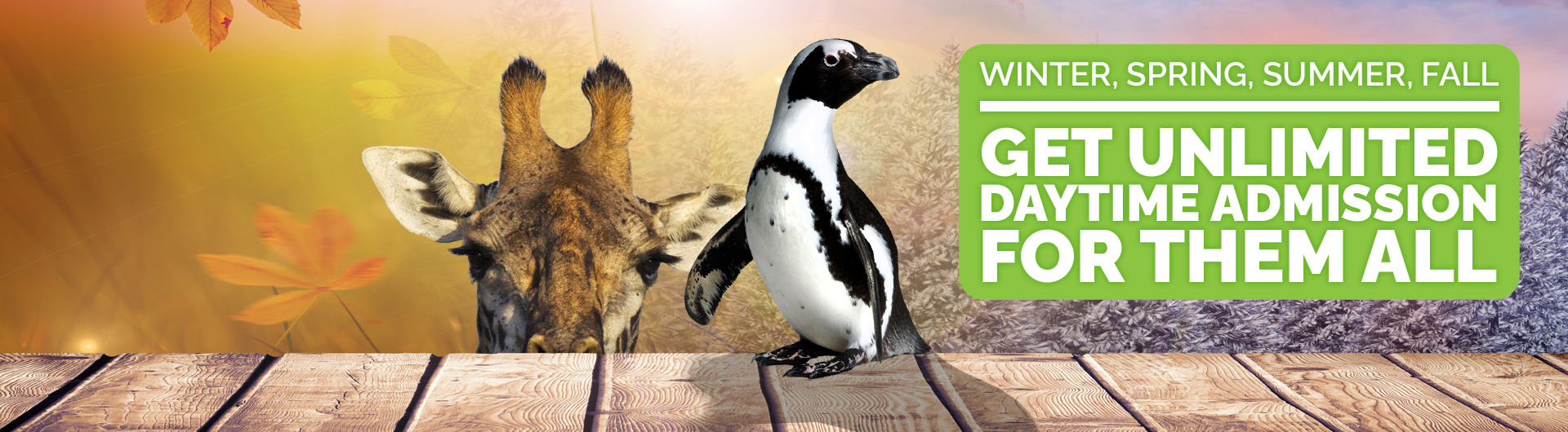 Lehigh Valley Zoo - Smart Fun