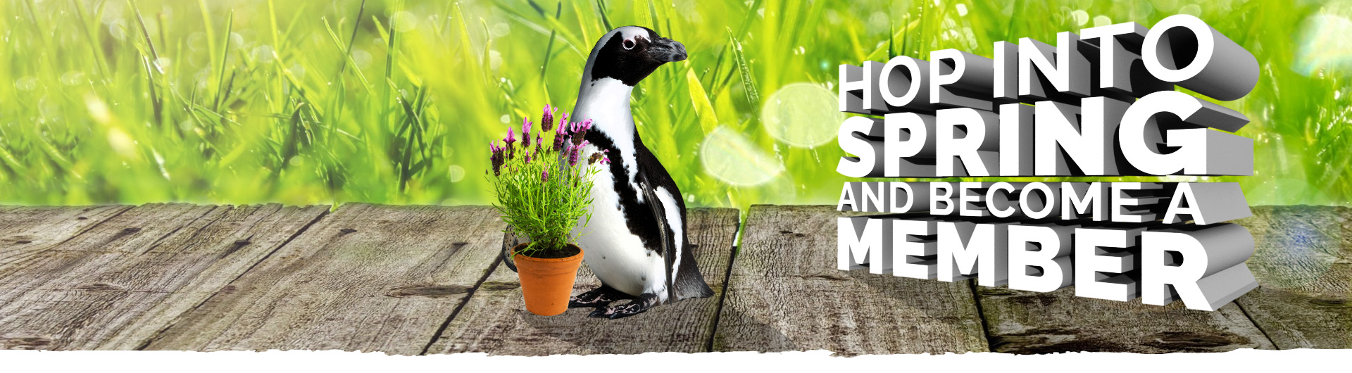 Lehigh Valley Zoo - Smart Fun