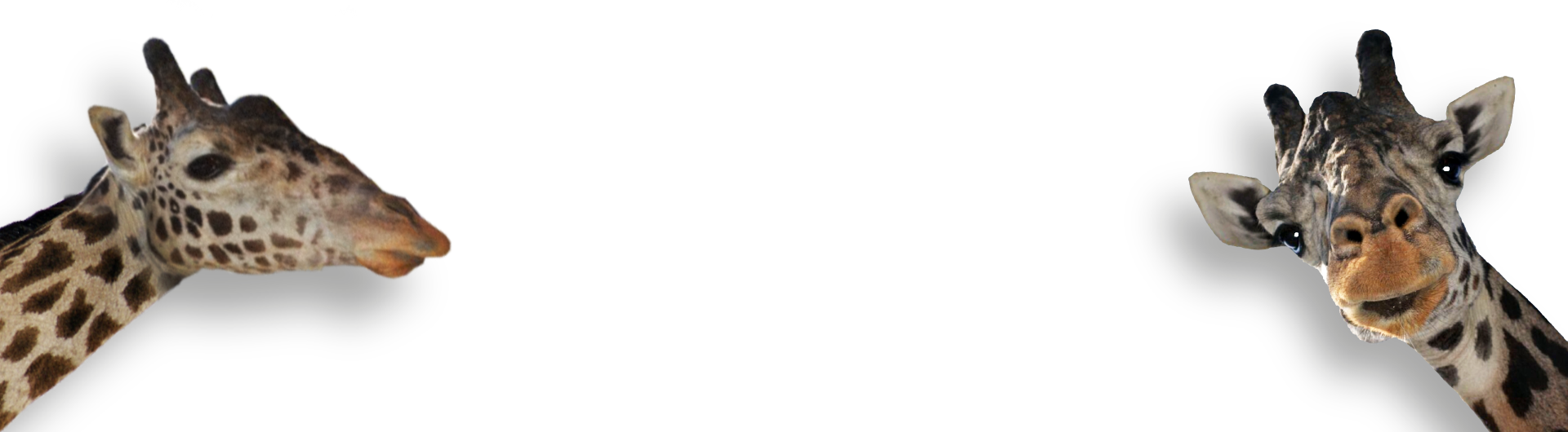 Lehigh Valley Zoo - Smart Fun