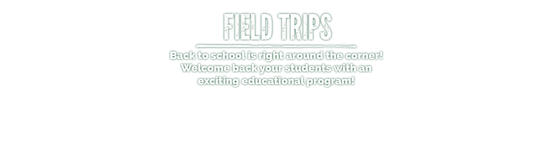 Lehigh Valley Zoo - Smart Fun