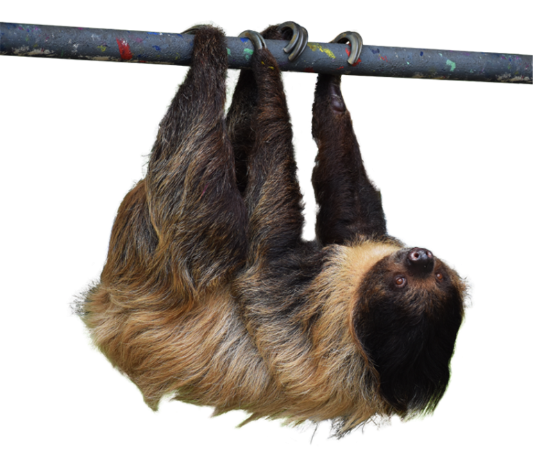 Lehigh Valley Zoo - Smart Fun