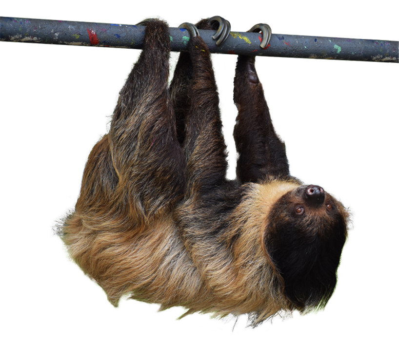 Lehigh Valley Zoo - Smart Fun