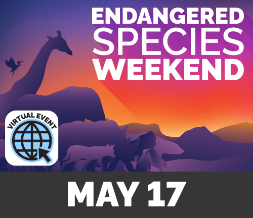 Events & Activities - Lehigh Valley Zoo