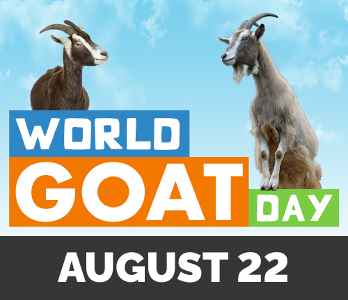 Events & Activities - Lehigh Valley Zoo