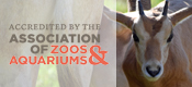 LVZoo Receives Fourth Accreditation from Association of Zoos ...