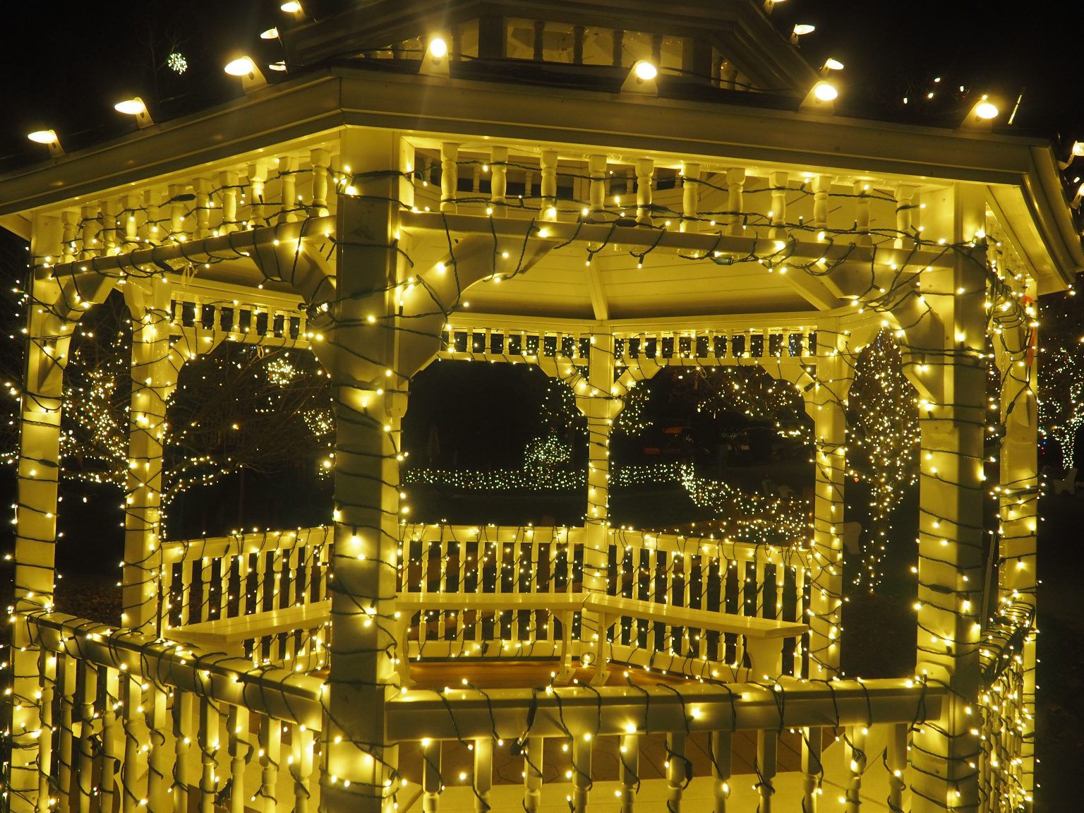 Winter Light Spectacular - Lehigh Valley Zoo