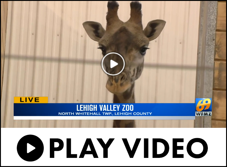 WFMZ's Ali Reid visits LVZoo for Party for the Planet - Lehigh Valley Zoo