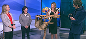In the WFMZ studio with Bean the Sloth and Monty the Angolan Python ...